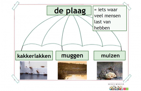 plaag | Kentalis: Weerwoord