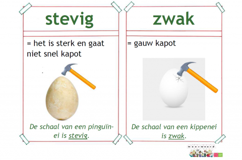 stevig | Kentalis: Weerwoord