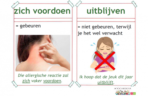 zich voordoen | Kentalis: Weerwoord