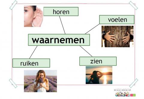 waarnemen | Kentalis: Weerwoord