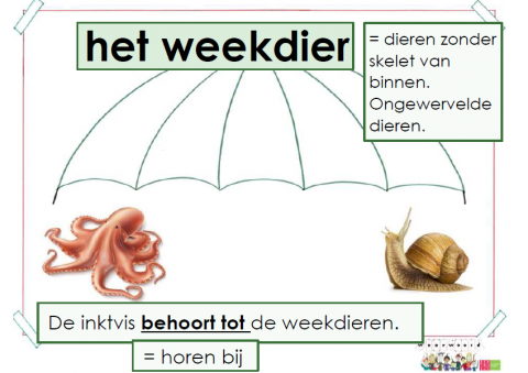 weekdier | Kentalis: Weerwoord