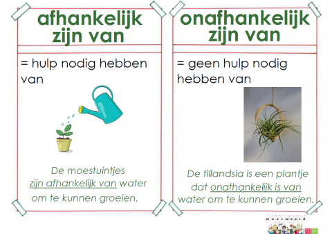 afhankelijk | Kentalis: Weerwoord