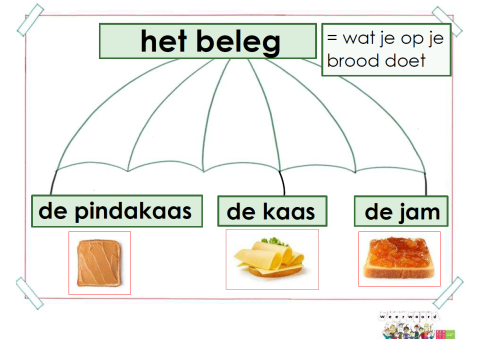 beleg | Kentalis: Weerwoord