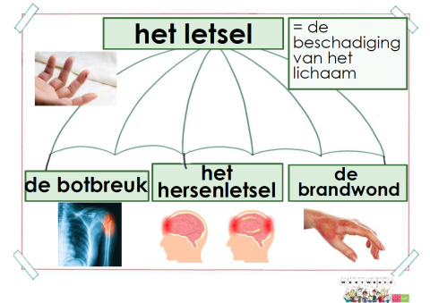 letsel | Kentalis: Weerwoord
