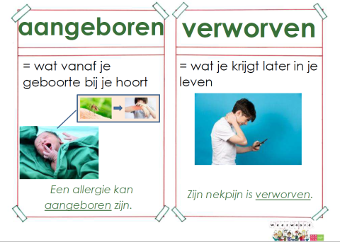 aangeboren | Kentalis: Weerwoord