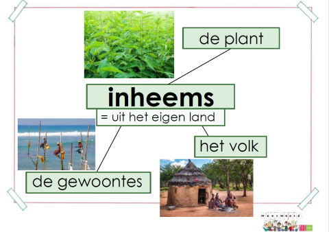 inheems | Kentalis: Weerwoord